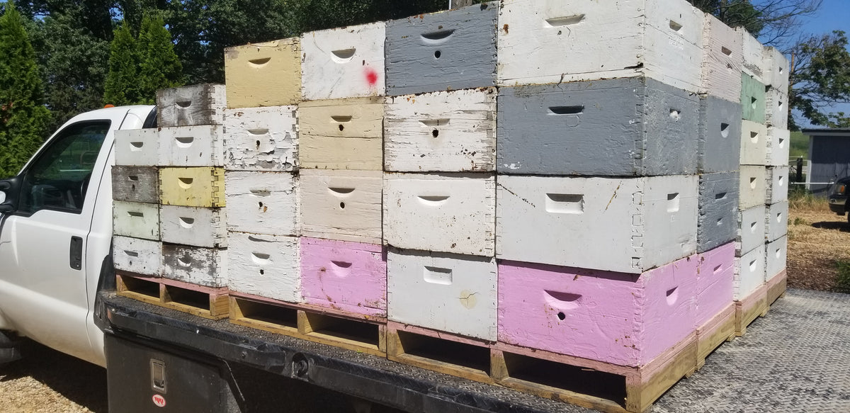 Loads O' Honey 2019 | Ebert Honey Store