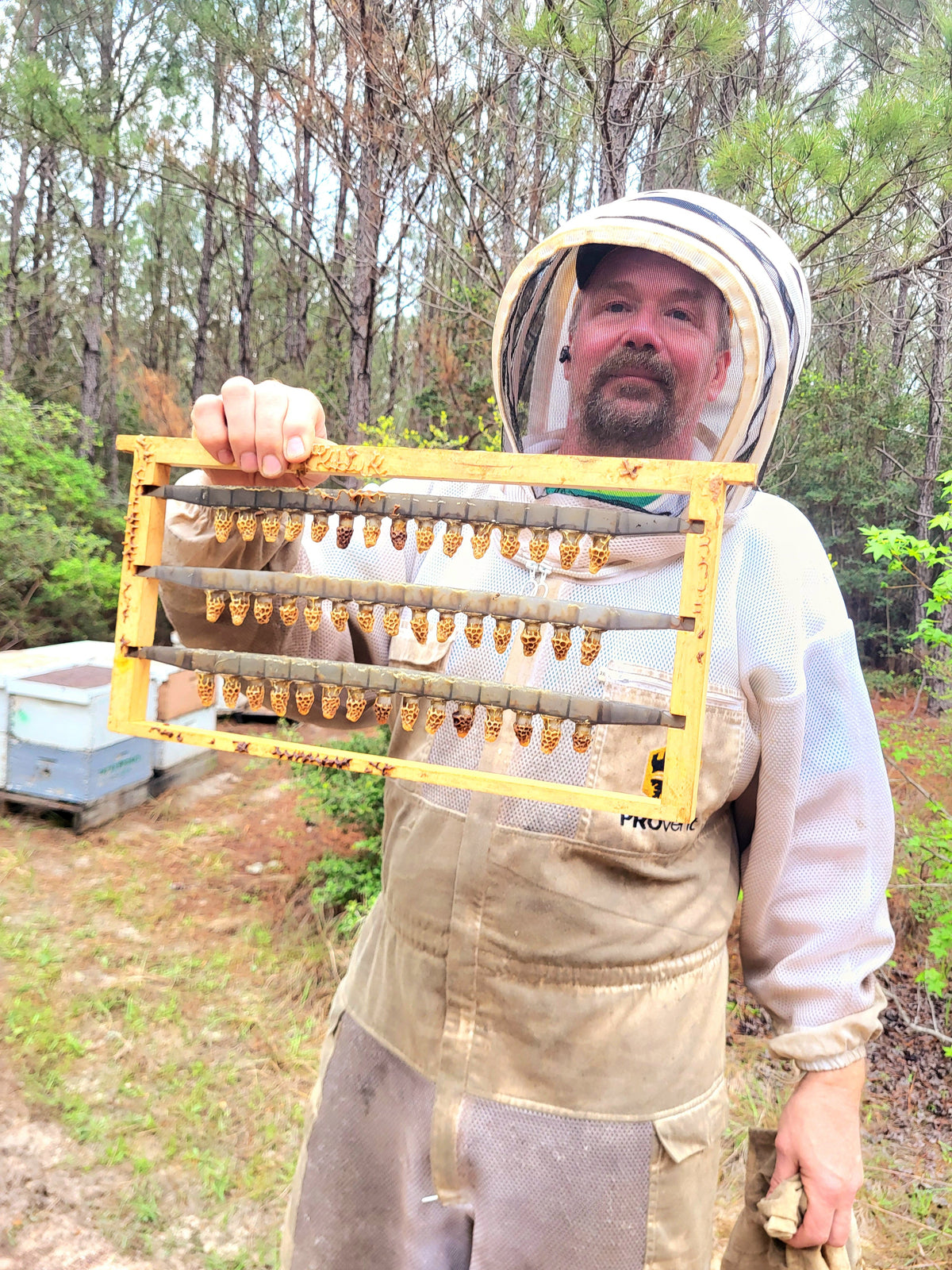 Our First Texas Spring! -- Beekeeping 2025 | Ebert Honey Store