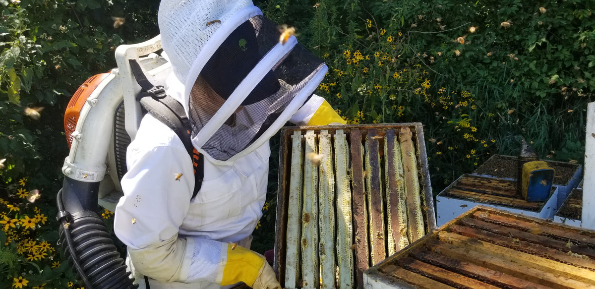 Sweet September (so far)! | Ebert Honey Store