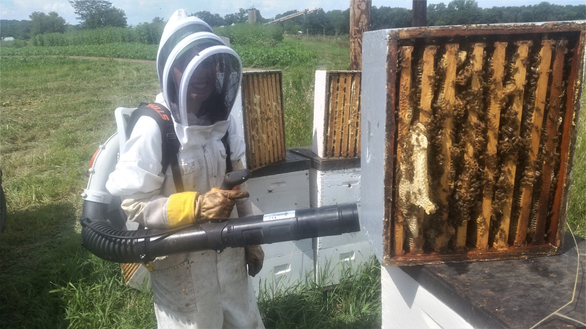 Power-up Bee Season! | Ebert Honey Store